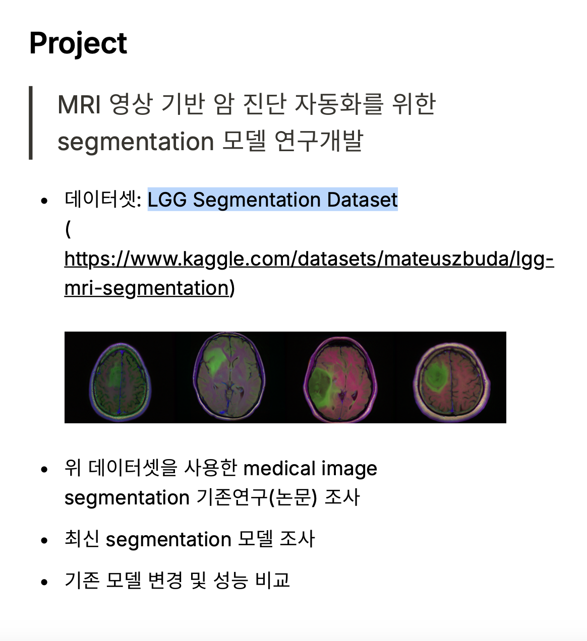 MRI 영상 기반 암 진단 자동화 연구 | seoharu.github.io